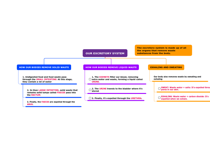OUR EXCRETORY SYSTEM - Mind Map
